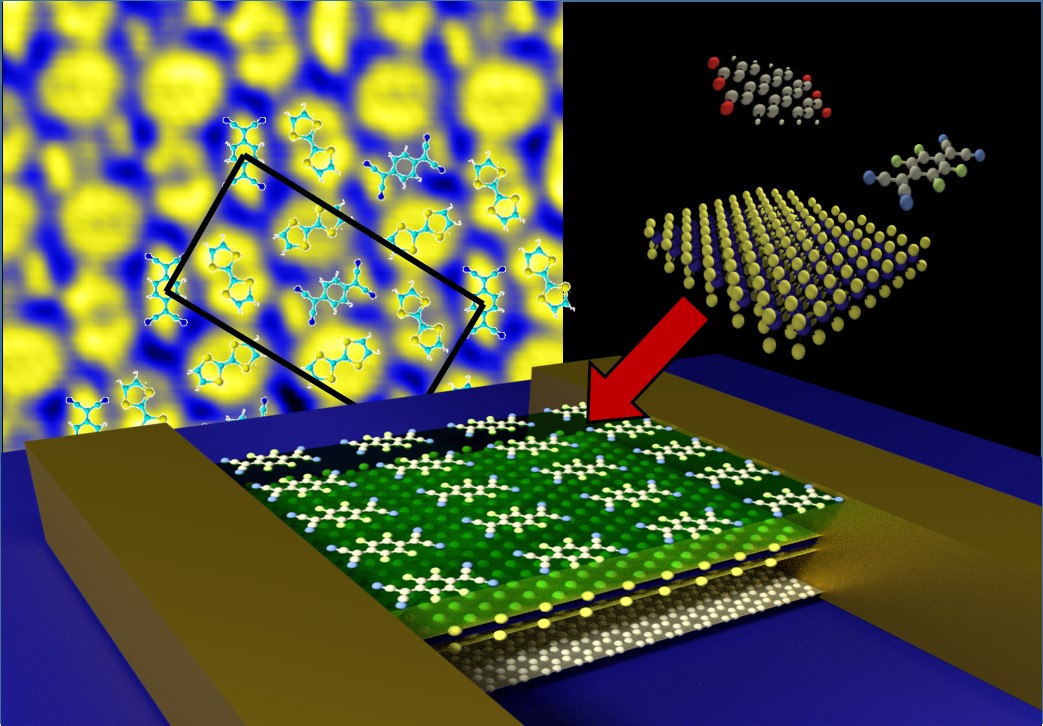 NanoPhyscisLAb webpage
