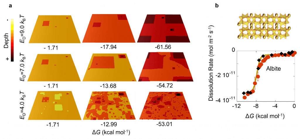 Mechanisms and dynamics of mineral dissolution: A new kinetic Monte ...