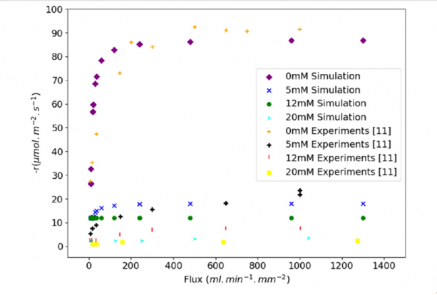 A dissolution model of alite coupling surface topography and ions ...