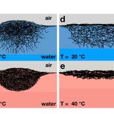 Chemical Physics of Complex Materials – CFM – Materials Physics Center