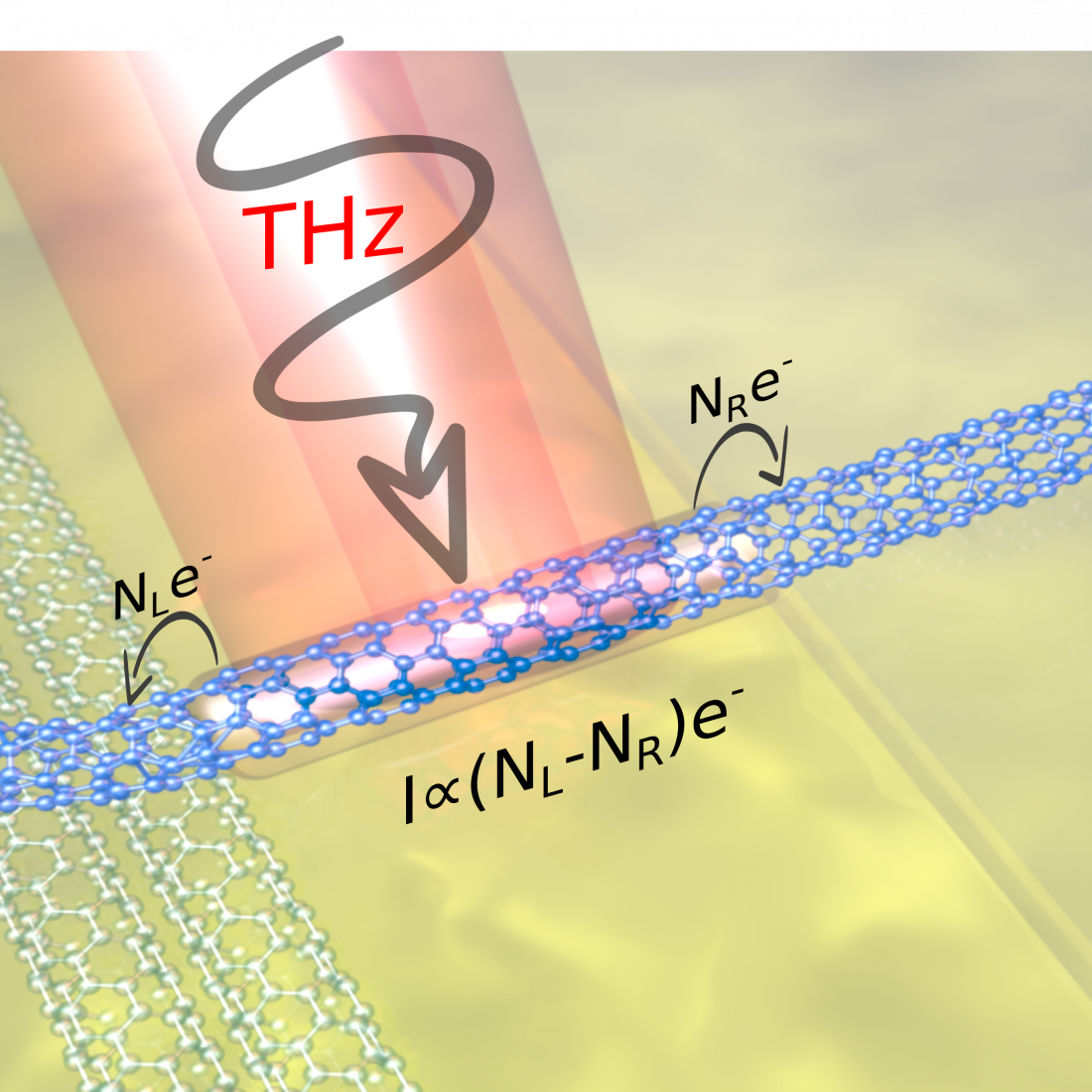 Polymers and Soft Matter – CFM – Materials Physics Center