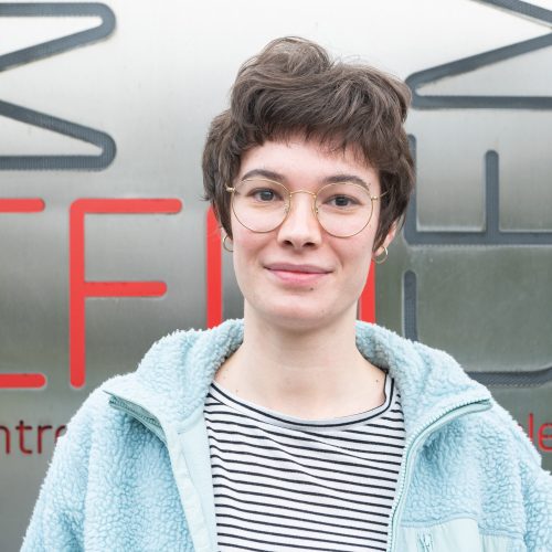 Researchers observe extremely squeezed directional THz waves in thin ...