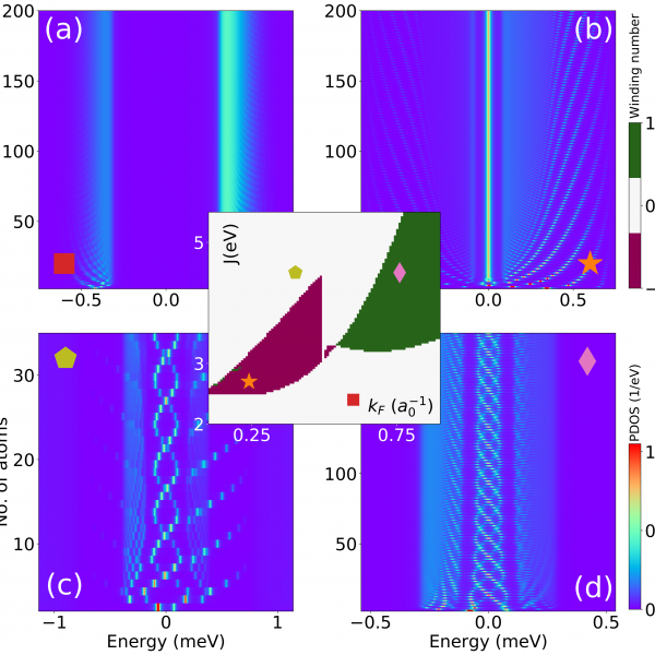 Reconfigurable artificial microswimmers with internal feedback – CFM ...