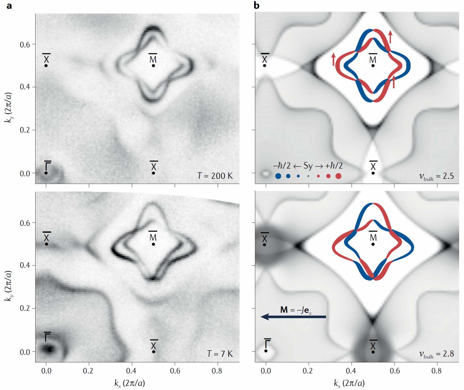 Rashba-like physics in condensed matter – CFM – Materials Physics Center