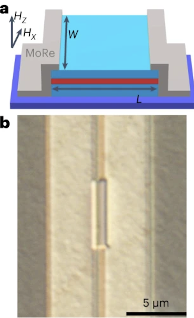 Magnetically tunable supercurrent in dilute magnetic topological ...