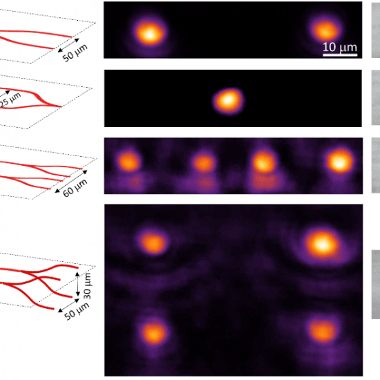 Kerker conditions upon lossless, absorption, and optical gain regimes ...