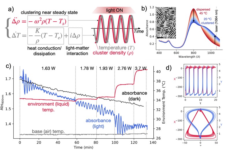 Thermoplasmonic self-oscillator based on gold nanoparticles – CFM ...