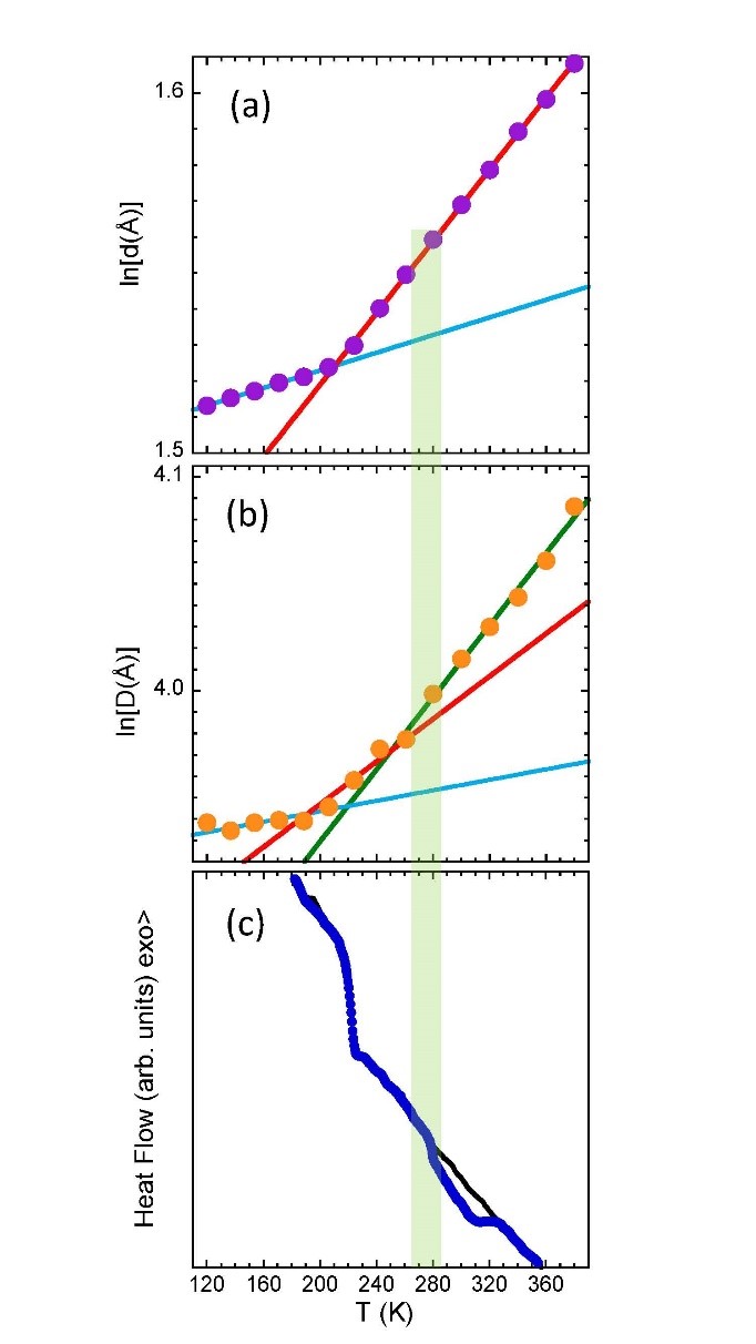 Microscopic Evidence for the Topological Transition in Model Vitrimers ...