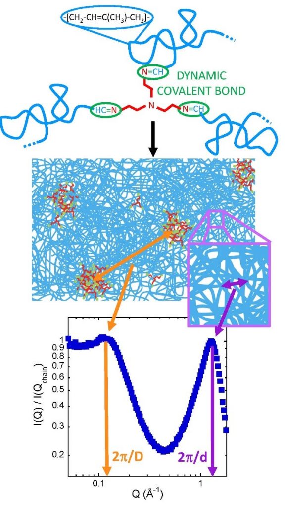 Microscopic Evidence for the Topological Transition in Model Vitrimers ...