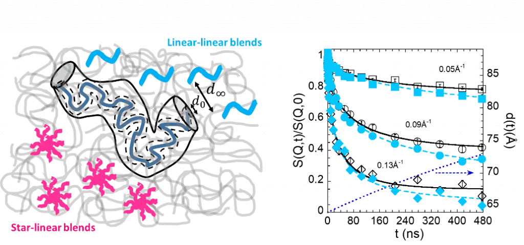 REVEALING THE TIME DEPENDENT TUBE DILATION IN ENTANGLED POLYMER BLENDS ...