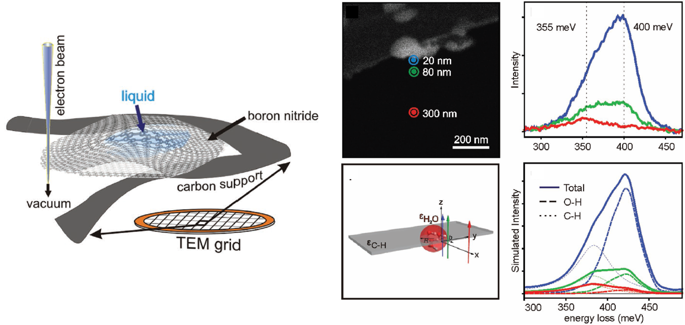 Electron Energy Loss Spectroscopy