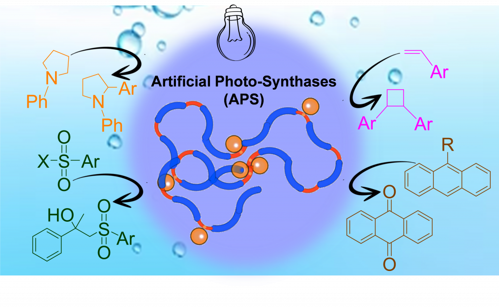 ARTIFICIAL PHOTO-SYNTHASES: SINGLE-CHAIN NANOPARTICLES WITH MANIFOLD ...