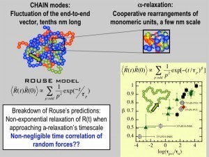 POLYMER CHAIN DYNAMICS: EVIDENCE OF NONEXPONENTIAL MODE RELAXATION ...