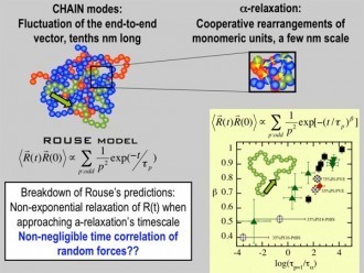 POLYMER CHAIN DYNAMICS: EVIDENCE OF NONEXPONENTIAL MODE RELAXATION ...