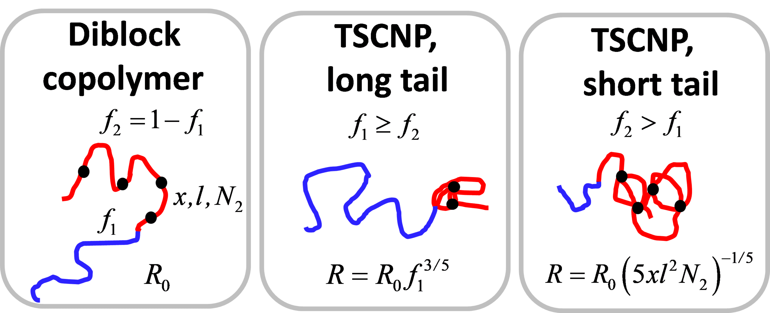 STRUCTURE-SIZE RELATIONSHIPS FOR TADPOLE-SHAPED SINGLE-CHAIN ...
